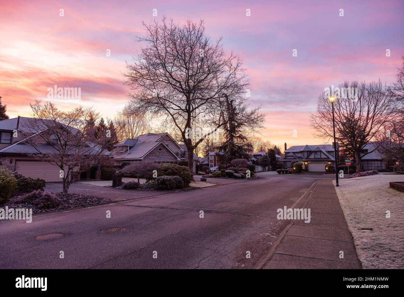 View of Residential Suburban Neighborhood Street in a modern city Stock ...