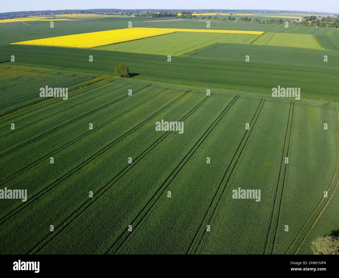 Agriculture crops growing in summer, aerial view, Zulawy Wislane ...