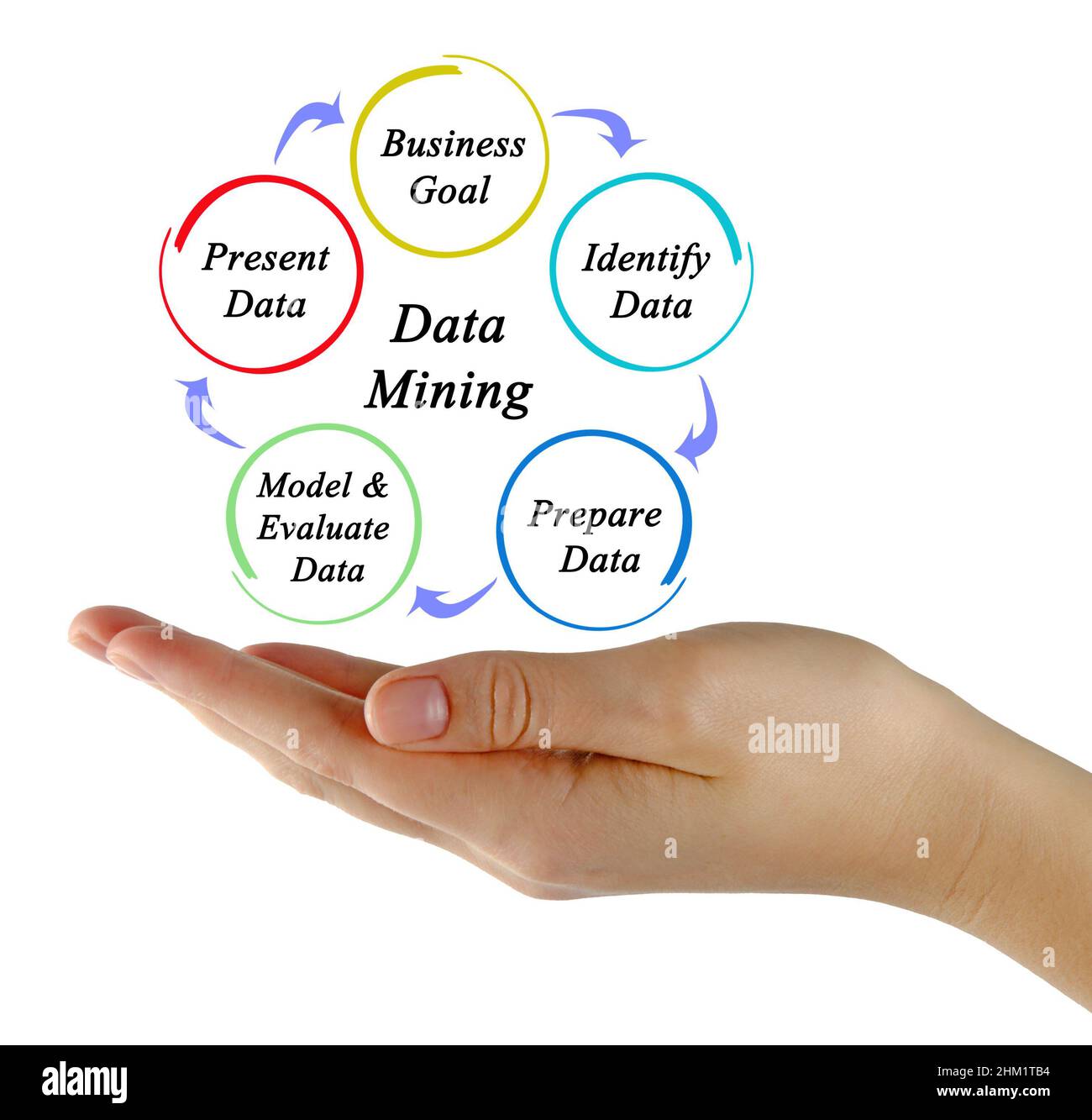 Five Components of Data Mining Stock Photo - Alamy