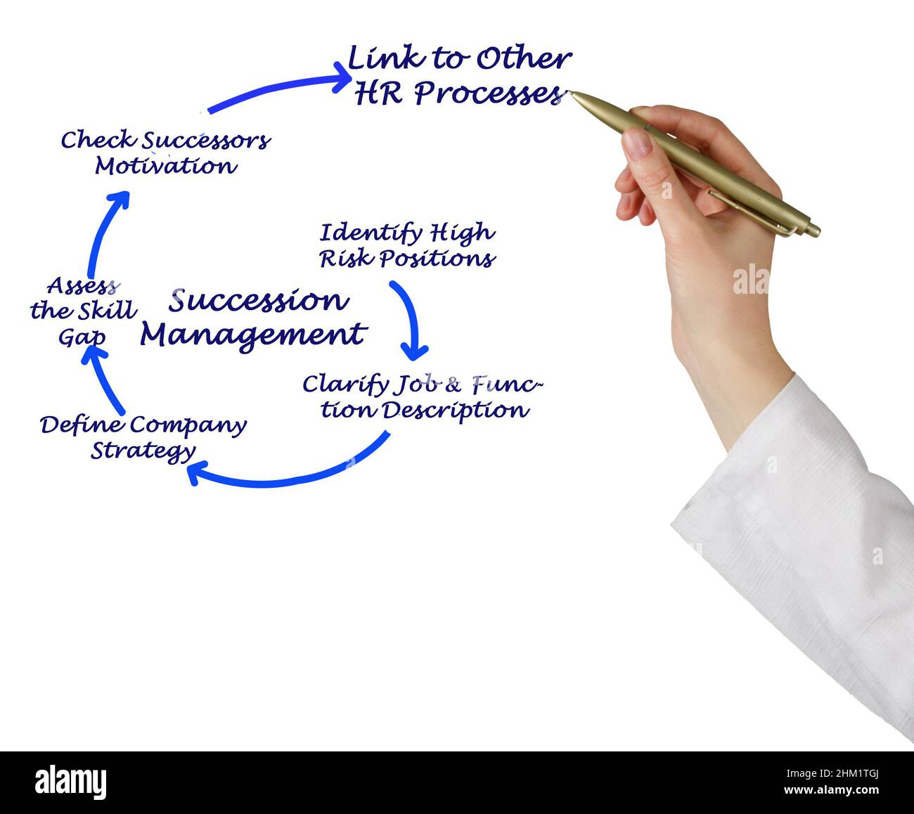 Six Components of Succession Management Stock Photo - Alamy