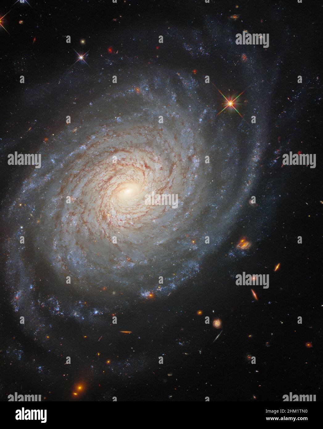 The lazily winding spiral arms of the spectacular galaxy NGC 976 fill ...