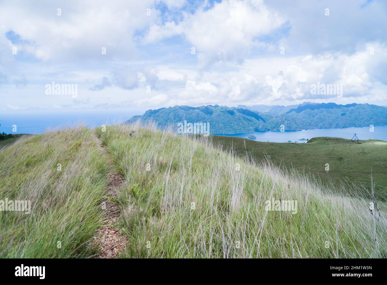Beautiful view of a landscape with fresh grass and mountains Stock ...