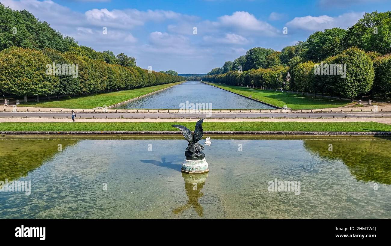 Beautiful shot of green plants and grass in Gardens of Versailles under ...