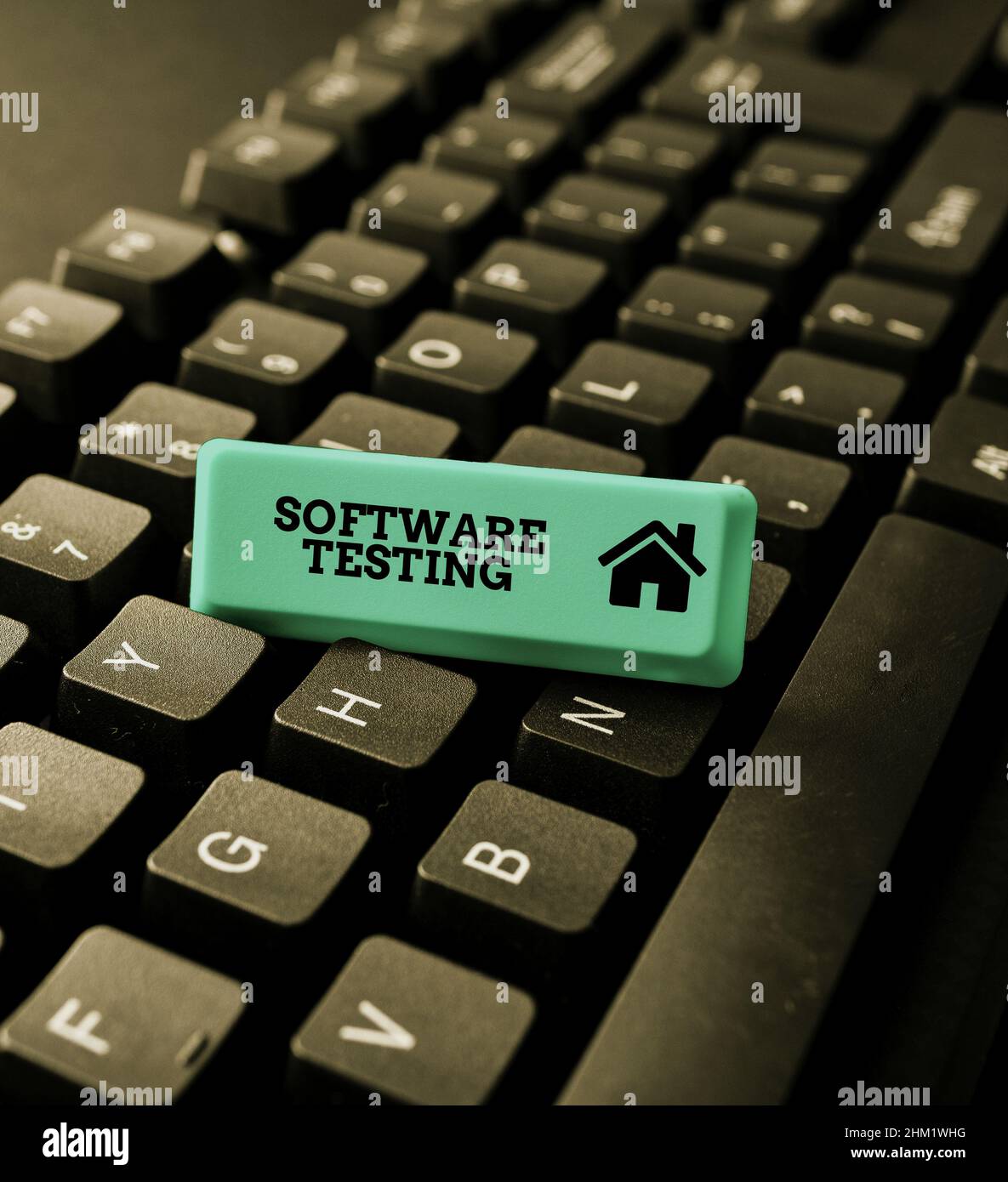 Sign displaying Software Testing. Internet Concept investigation ...