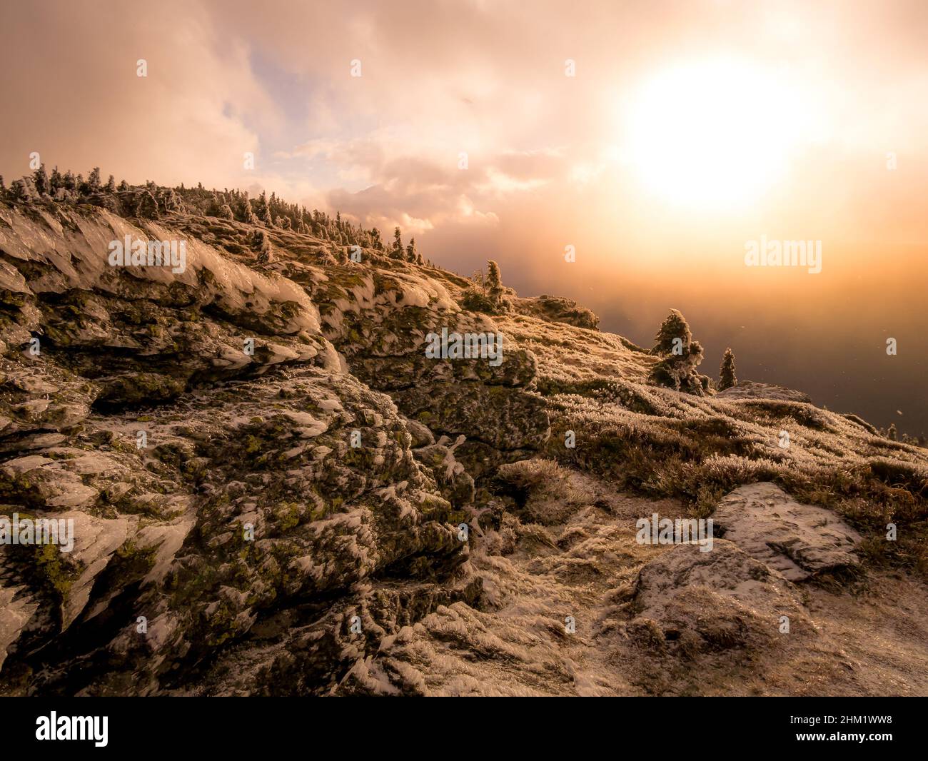 Harsh landscape on a mountain range of Jeseniky mountains with stunted ...