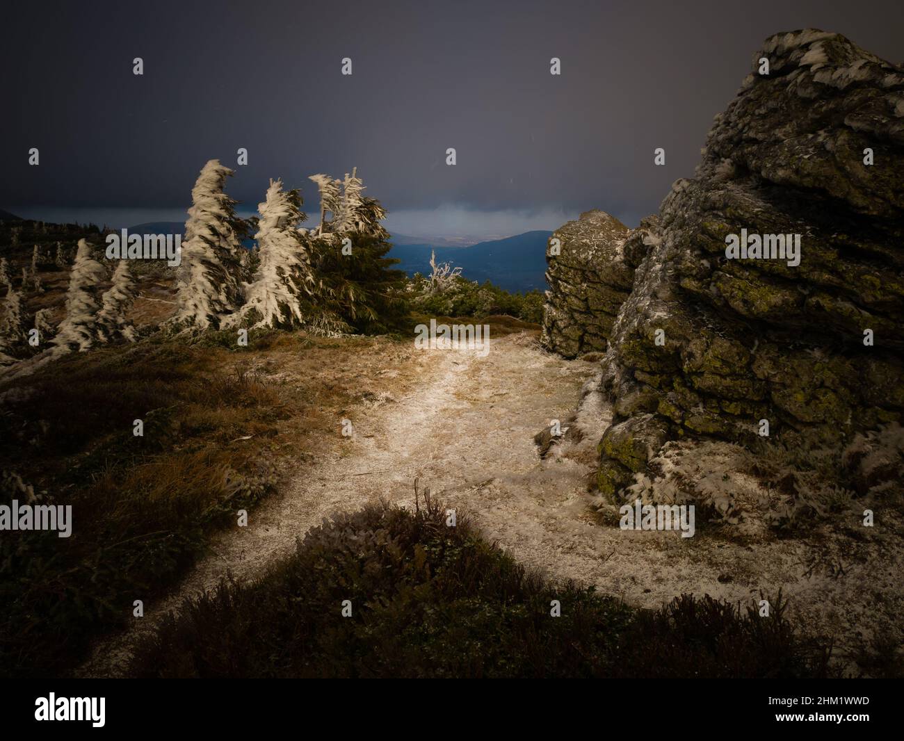 Harsh landscape on a mountain range of Jeseniky mountains with stunted ...