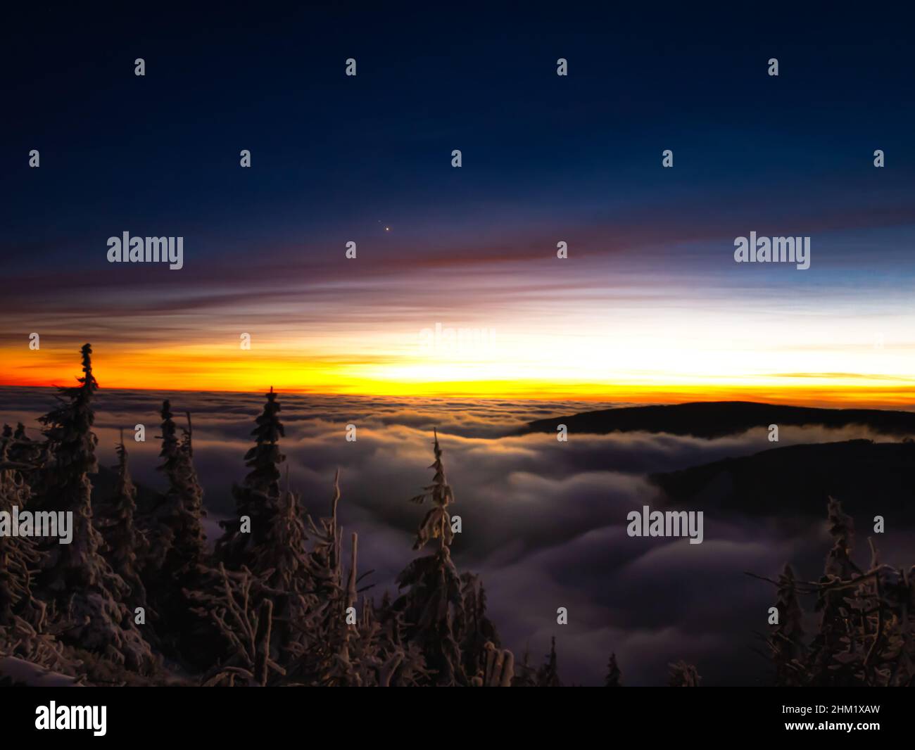 Scenic landscape with spruce trees covered with rime after sunset, view ...