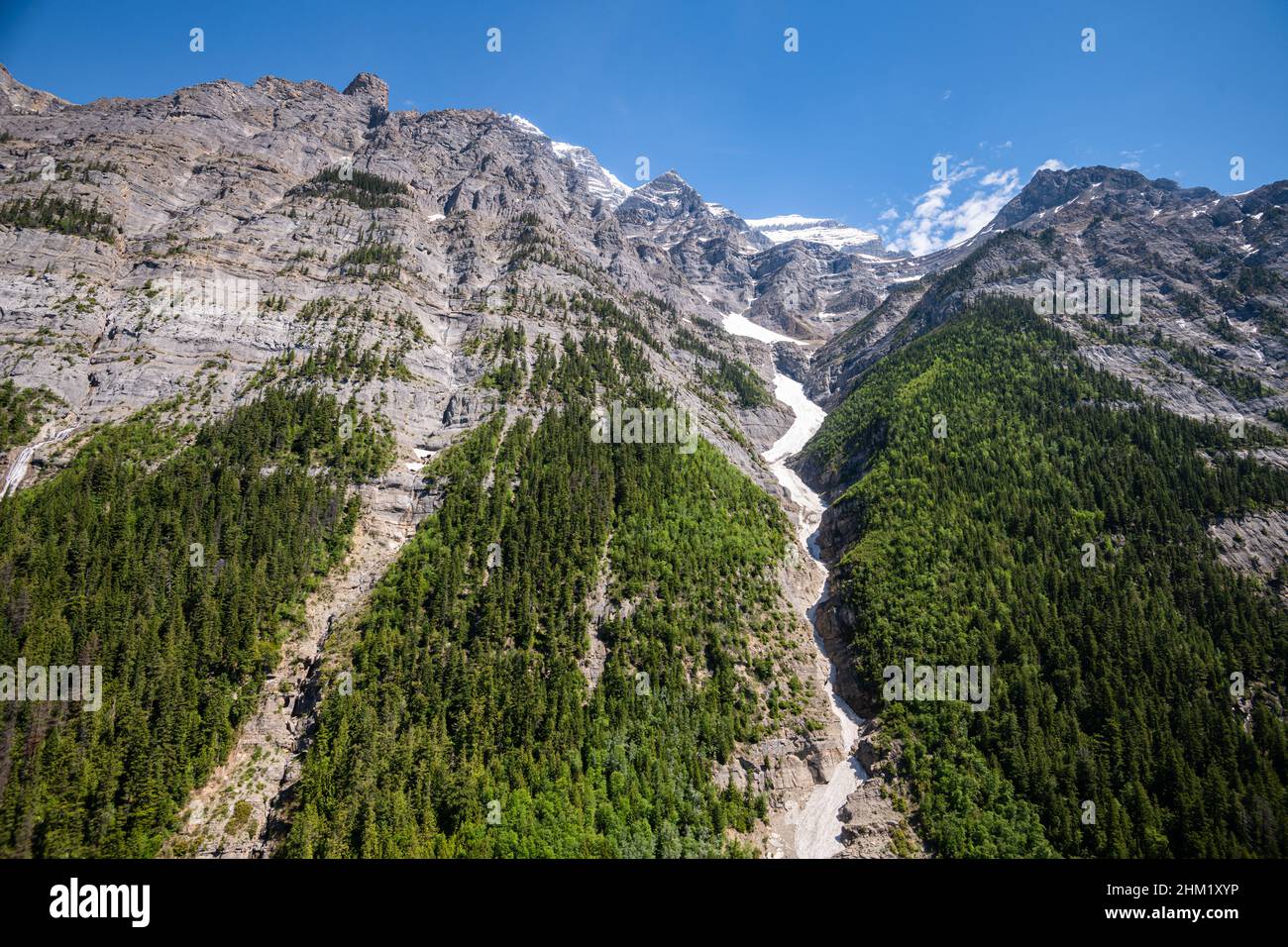 Berg Lake trail from above Stock Photo - Alamy