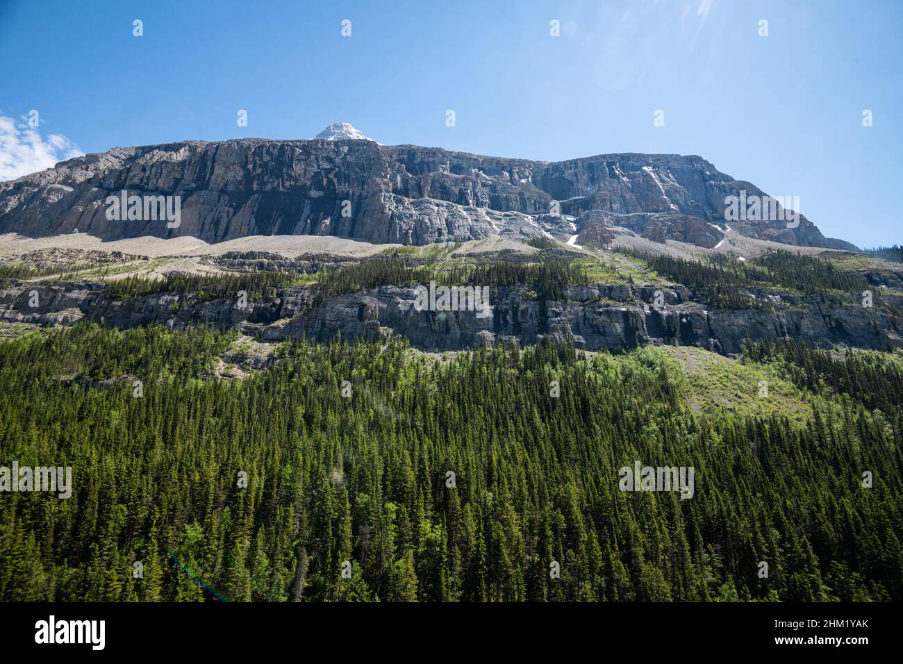 Berg Lake trail from above Stock Photo - Alamy
