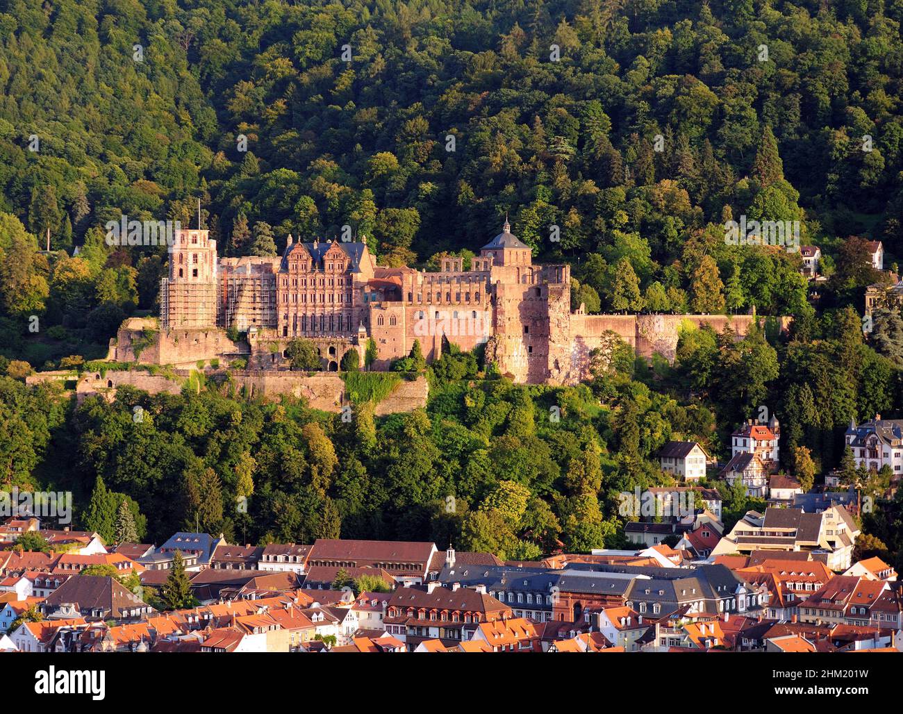 View To The Famous Castle Of Heidelberg High Above The Old City Germany ...