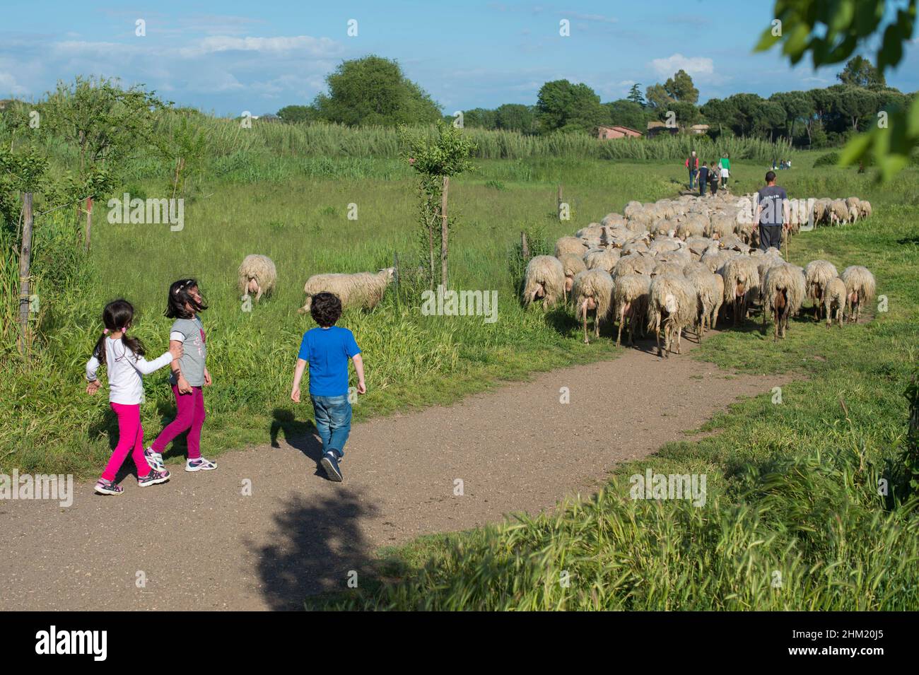 Rome, Italy 01/05/2014: Caffarella park. © Andrea Sabbadini Stock Photo ...