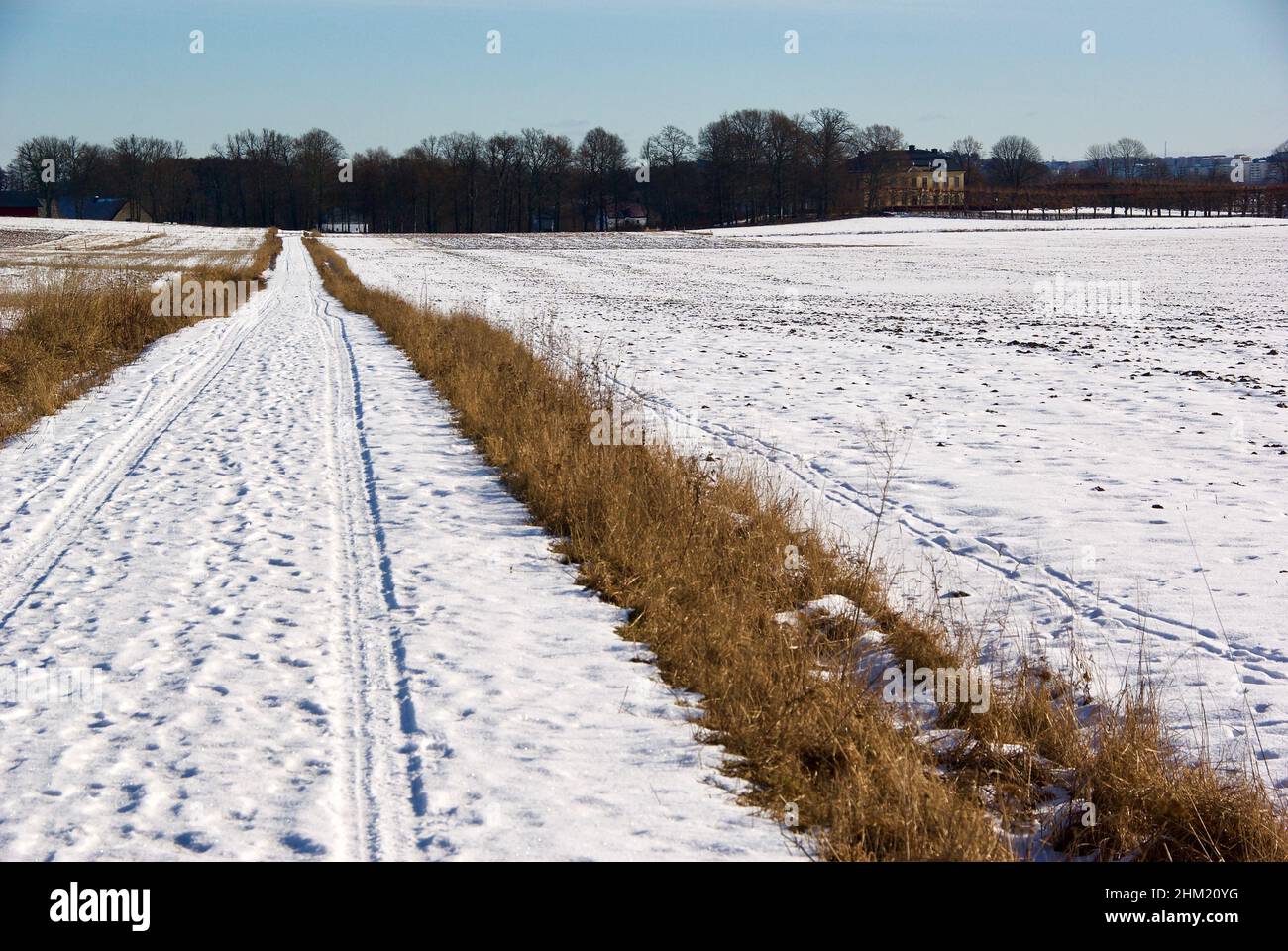 Dirt road with traces in the snow between arable land in a swedish ...
