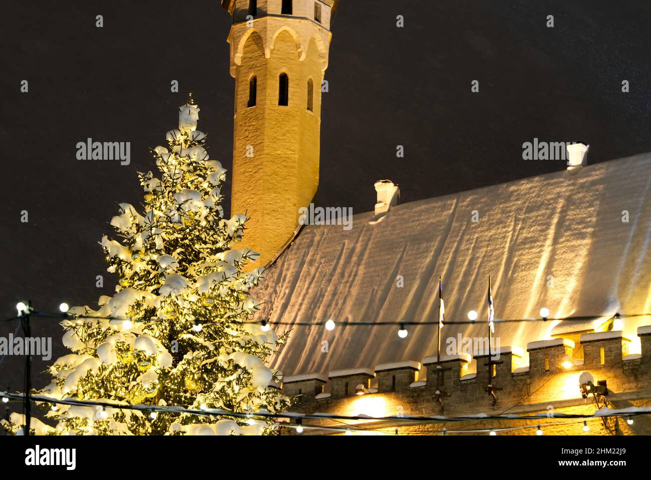 Decorated christmas tree in the center of Tallinn. christmas tree with ...