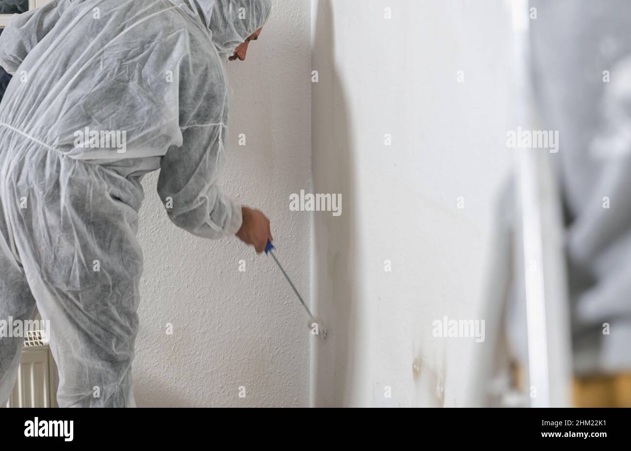 Close up of painter working with paint roller to paint the room in ...