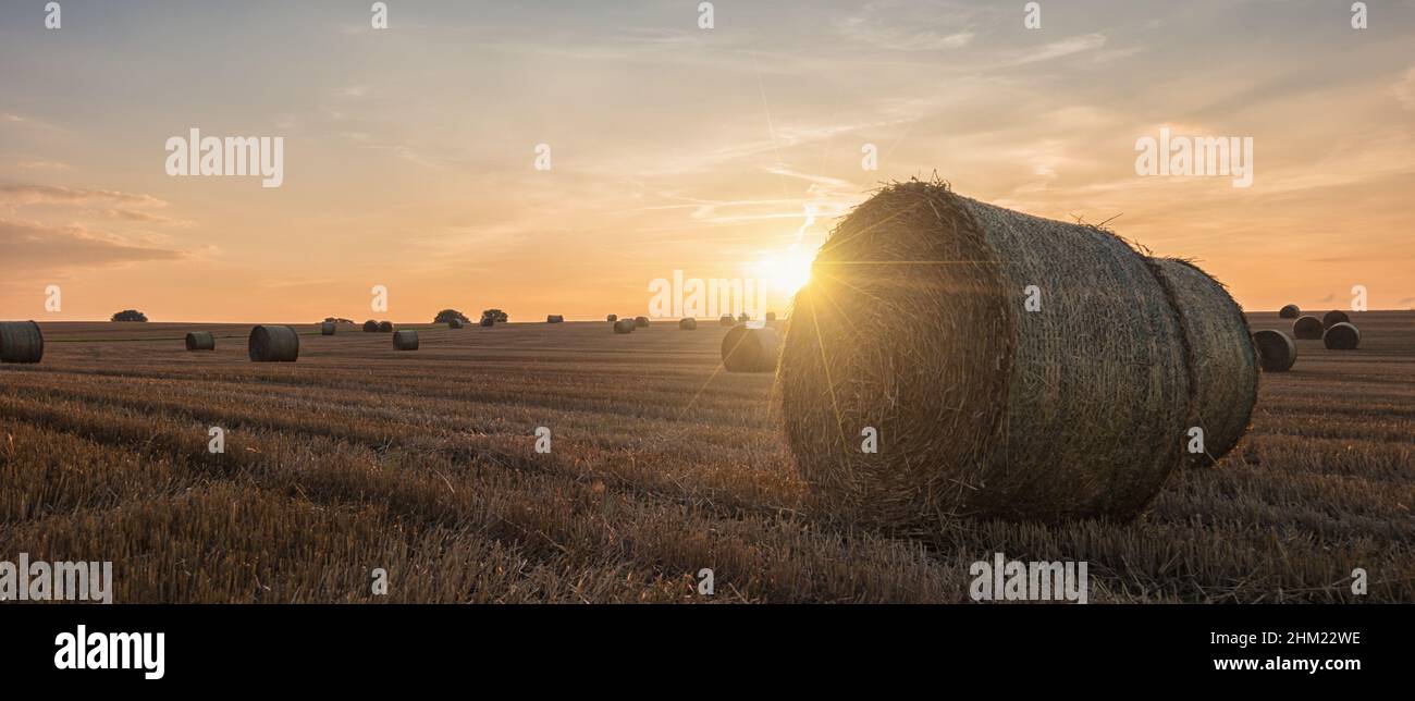 Sunset over farm field with hay bales Stock Photo - Alamy