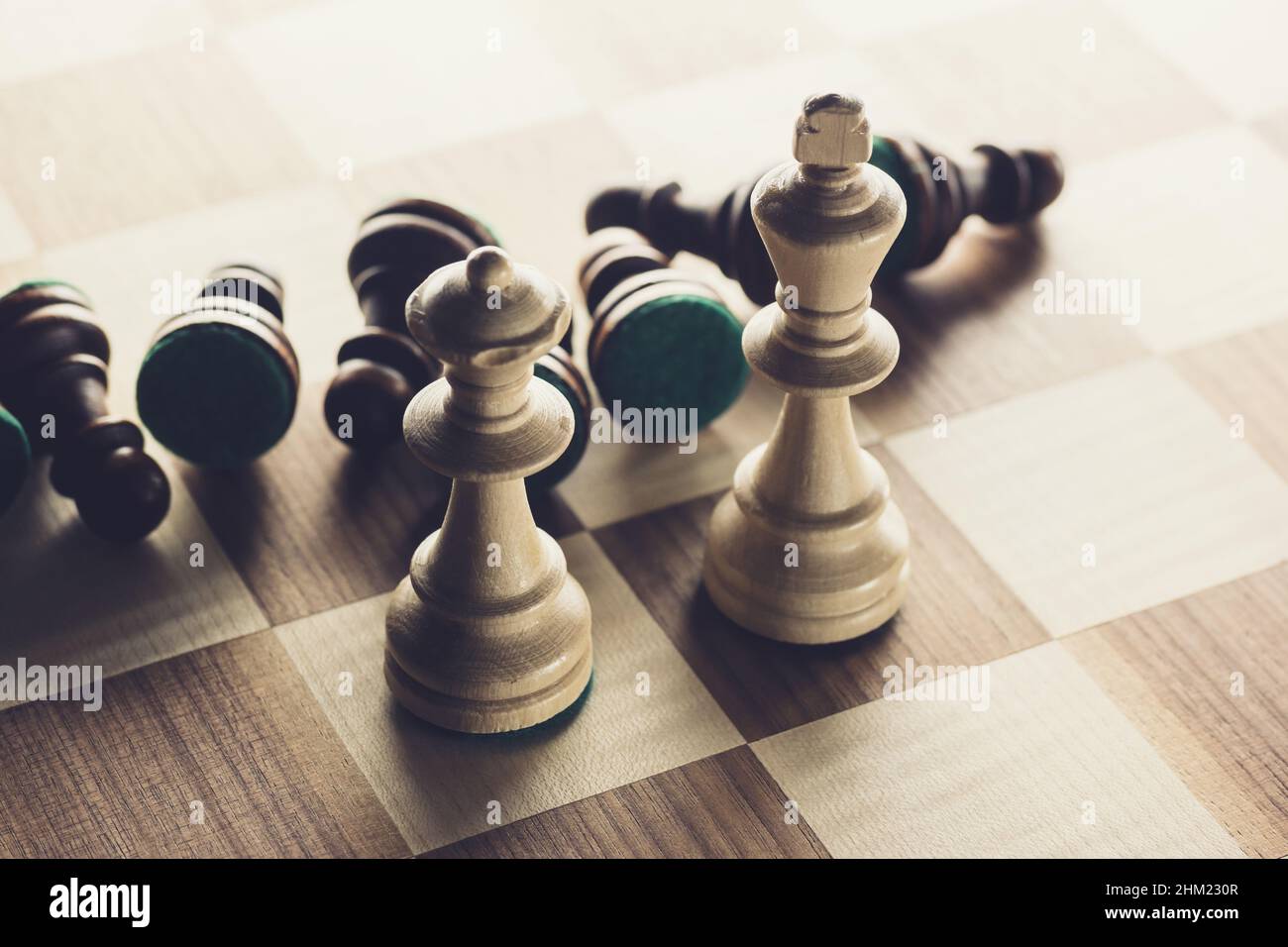 Business strategy concept chess knight hi-res stock photography and ...