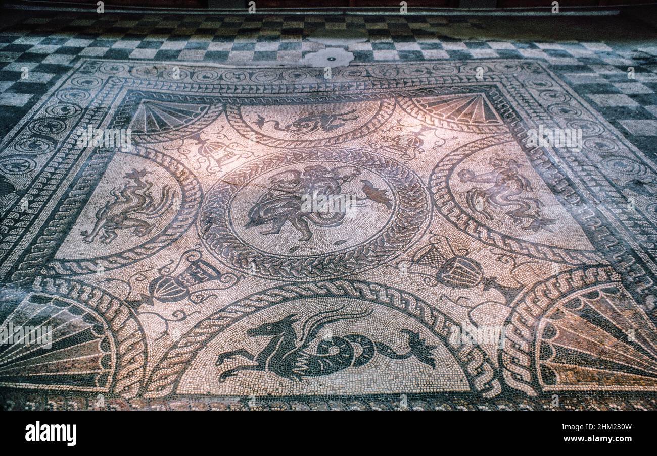 Cupid dolphin mosaic hi-res stock photography and images - Alamy