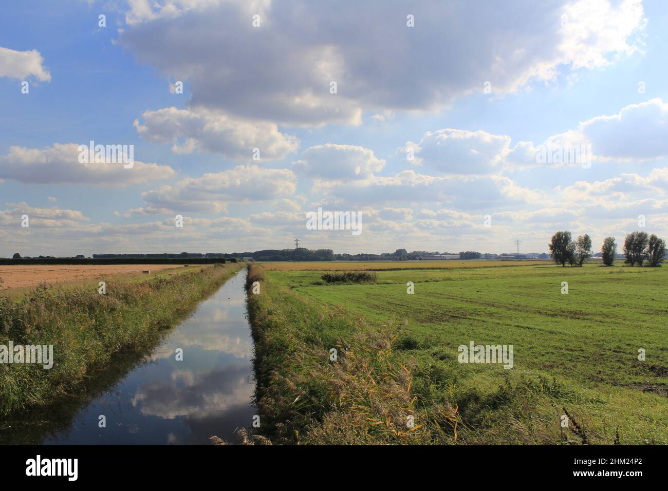 a rural landscape with a ditch between the green fields in the dutch ...
