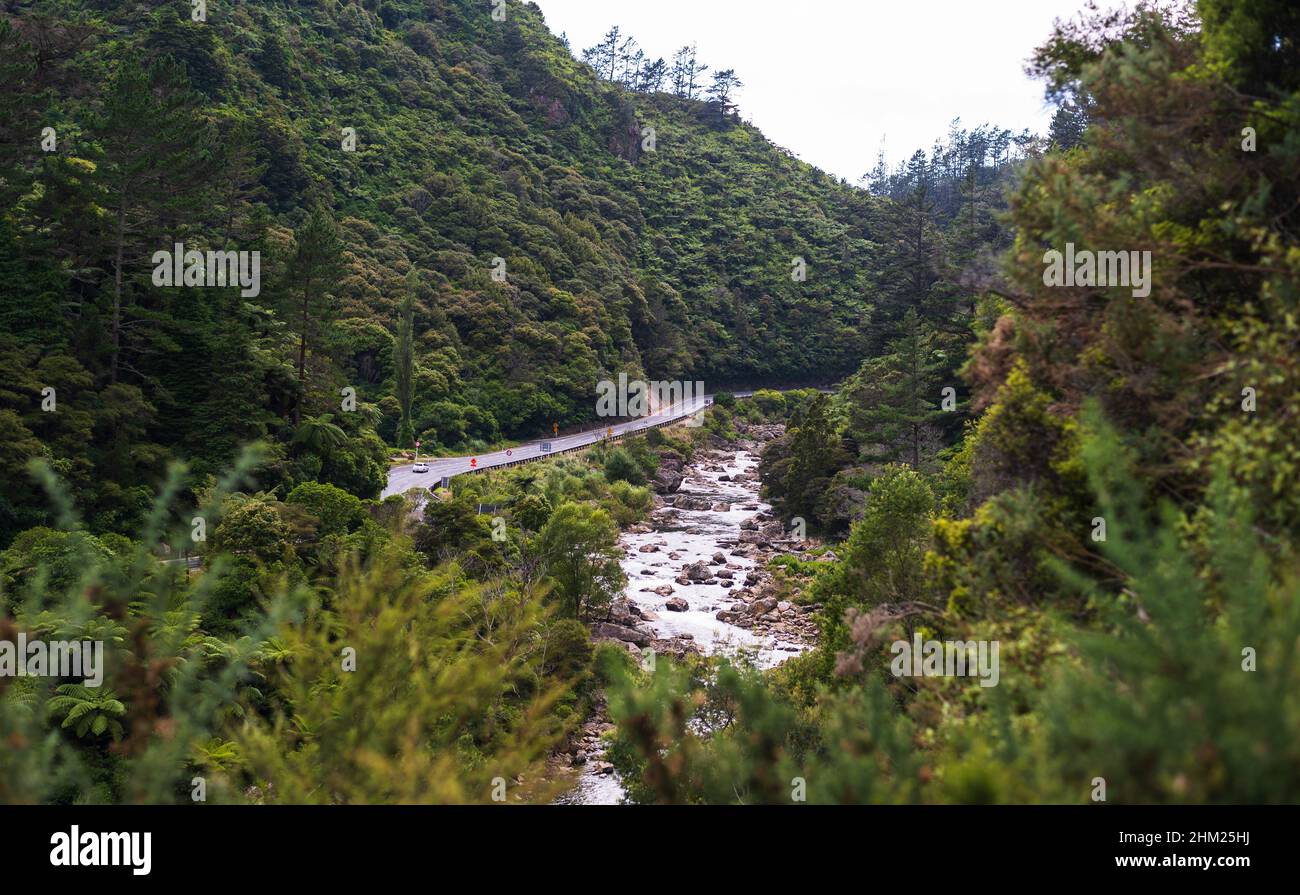 State Highway 2 through the Karangahake Gorge in the Coromandel region ...