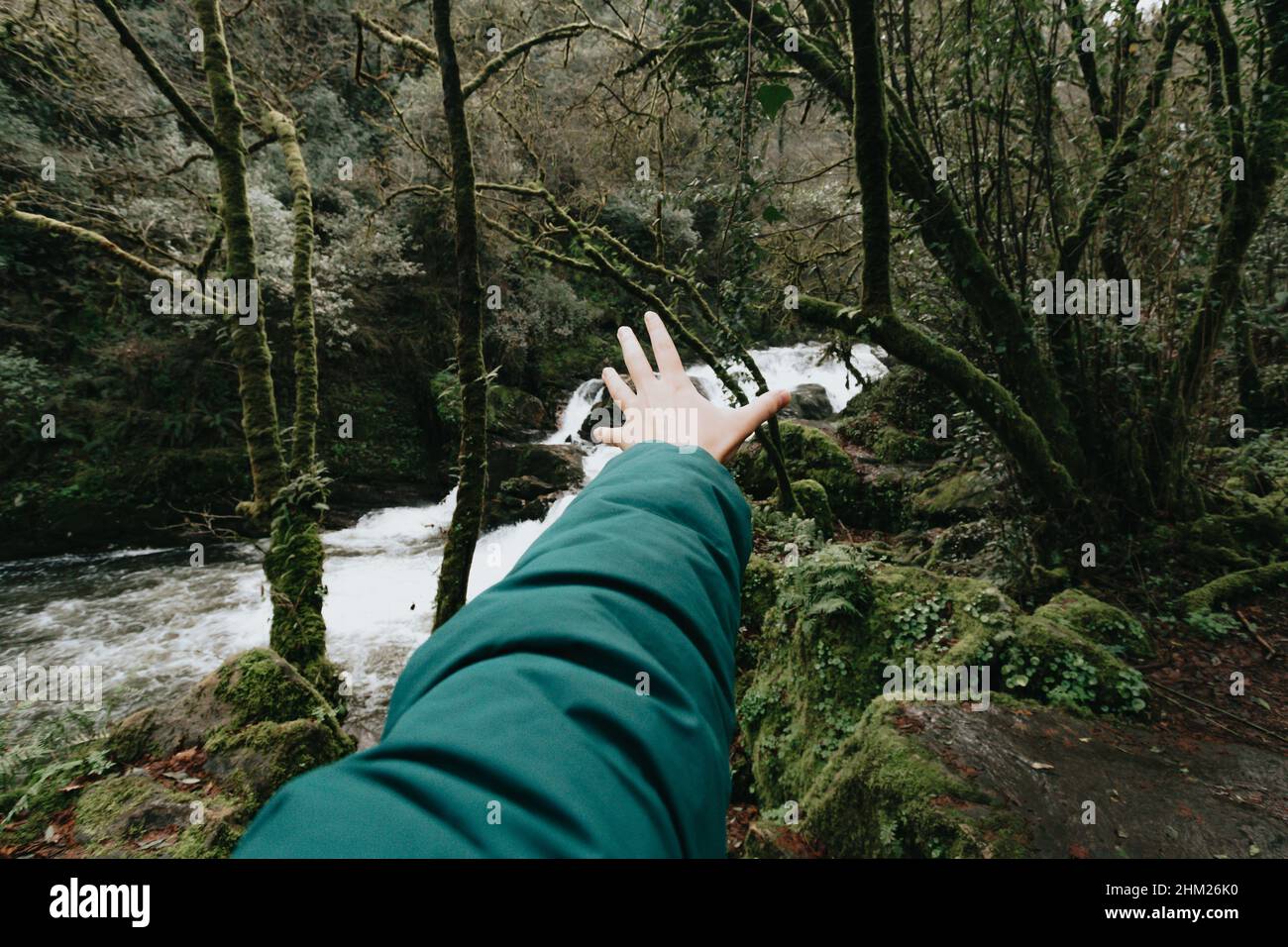 Inspirational shot of a hand in the middle of the forest with copy ...