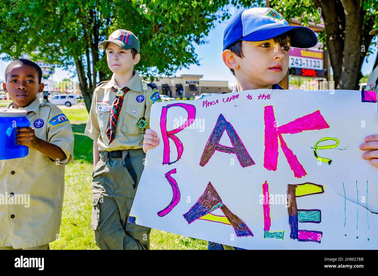 Boy scouts america hi-res stock photography and images - Alamy