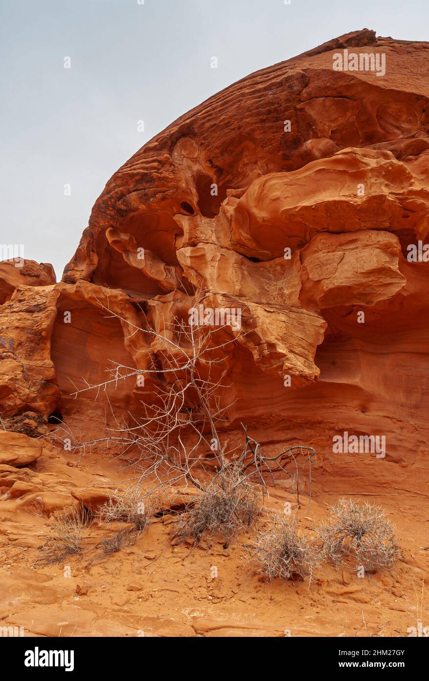 Desert floor boulders hi-res stock photography and images - Alamy