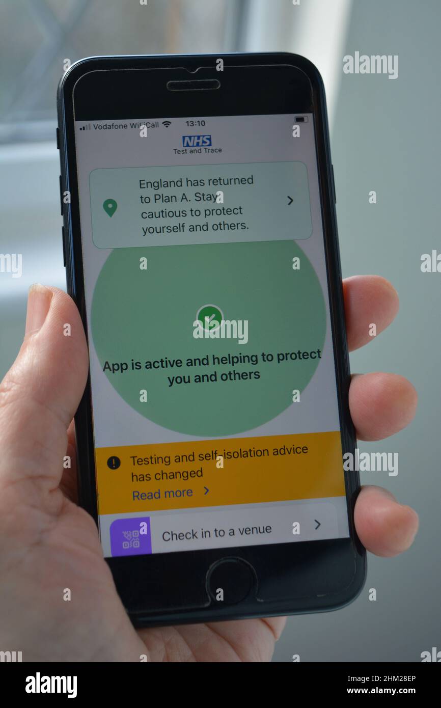Smartphone in woman's hand, showing active NHS Covid-19 Test and Trace ...