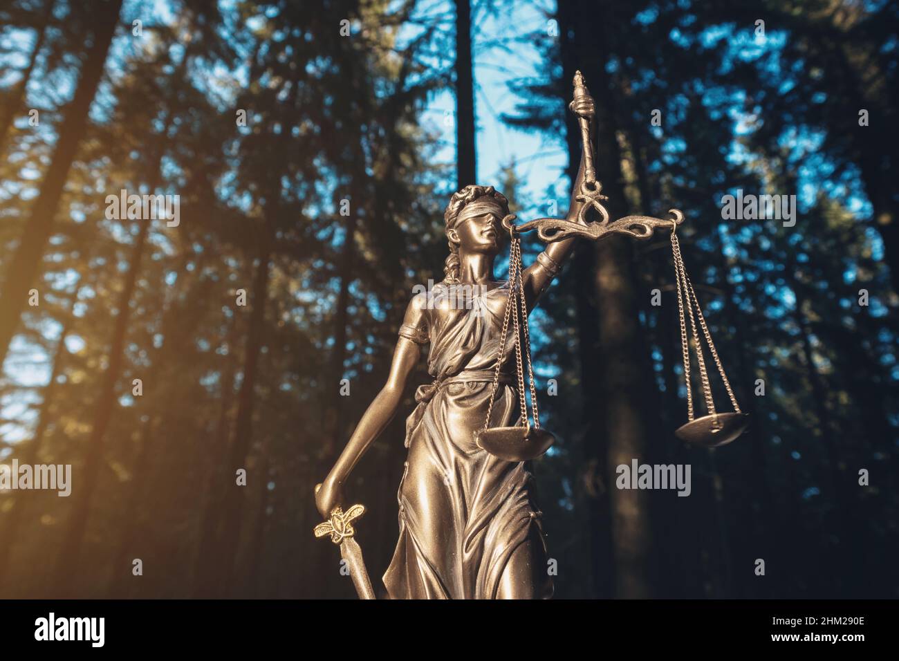 Justice scale in the woods Stock Photo - Alamy