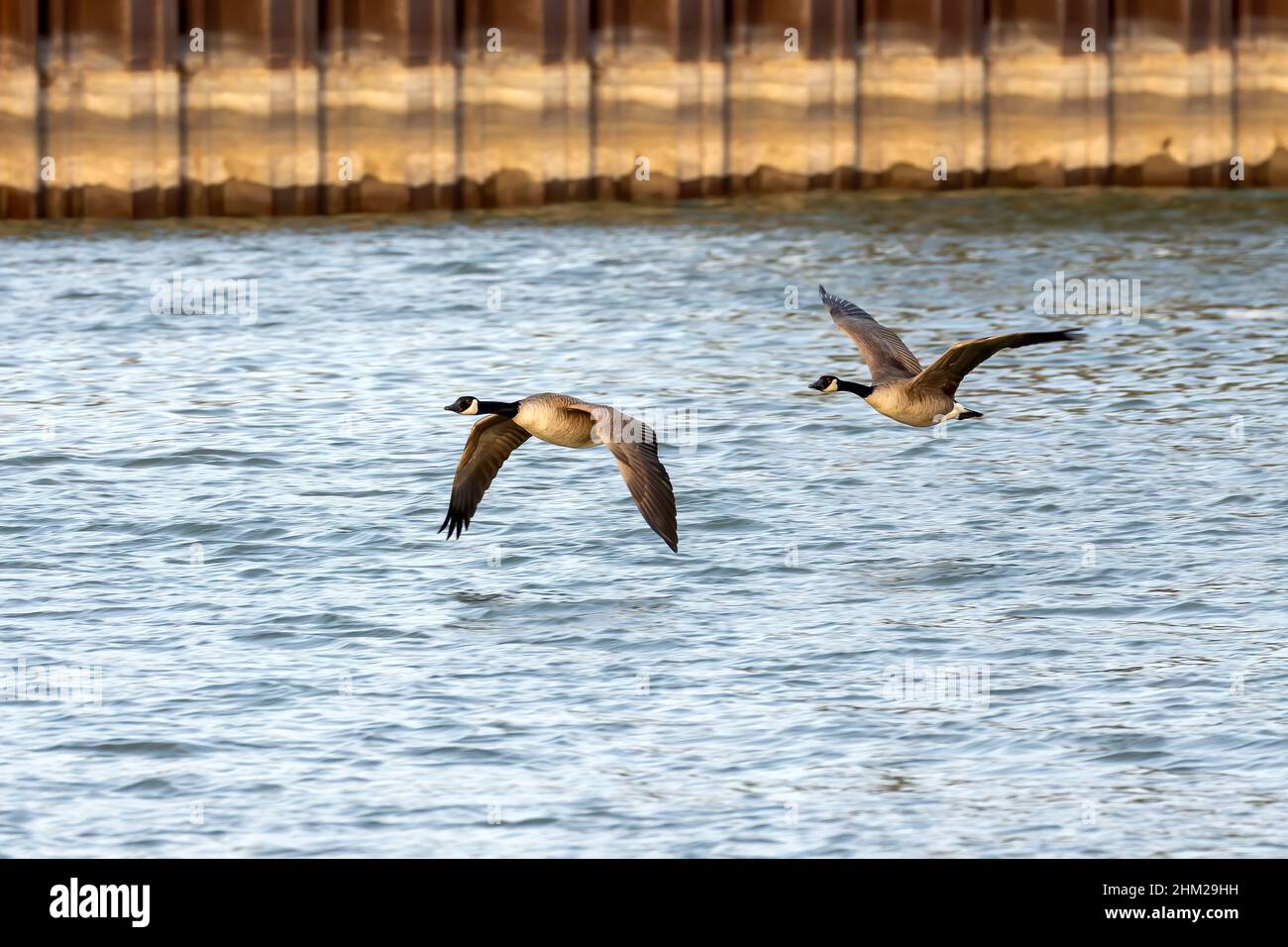Fly over wild canadian river hi-res stock photography and images - Alamy