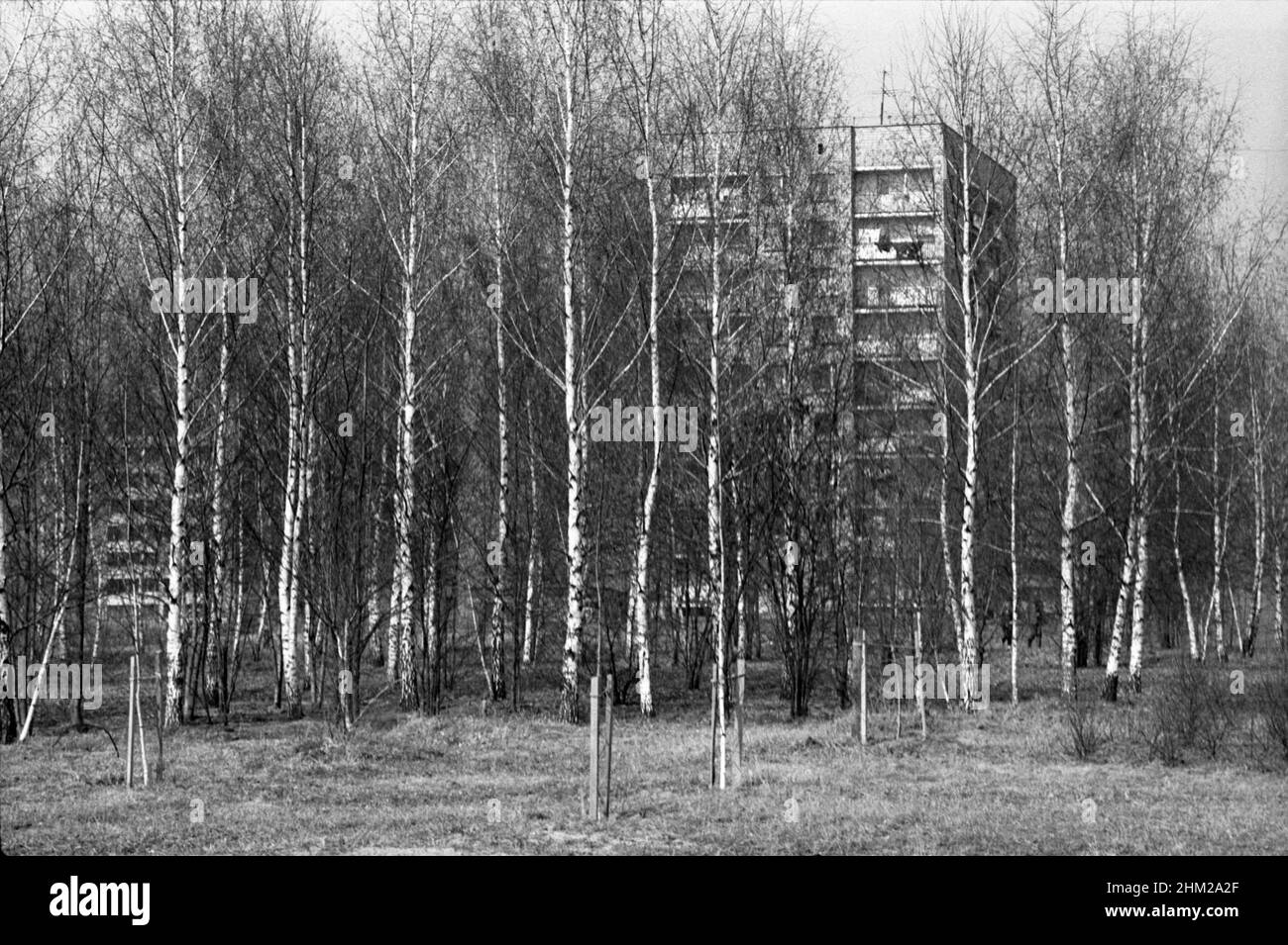 Research Center "Pushchinsky Scientific Center for Biological Research ...