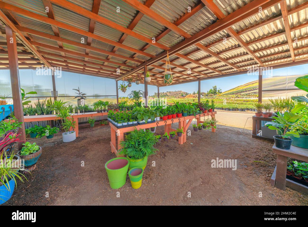 Organized potted plants on table and ground in a covered area with a ...
