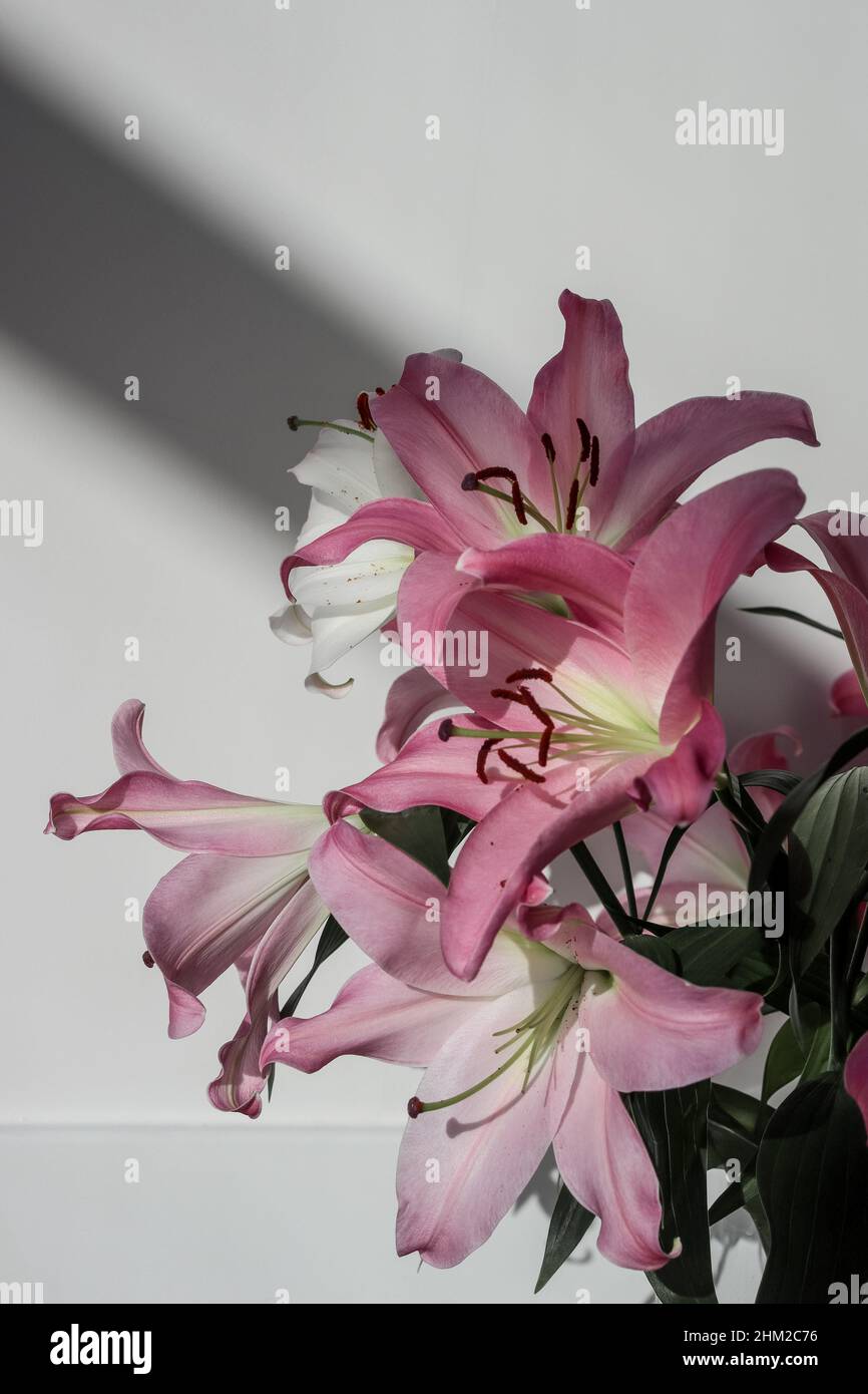 Bunch of lilies hi-res stock photography and images - Alamy