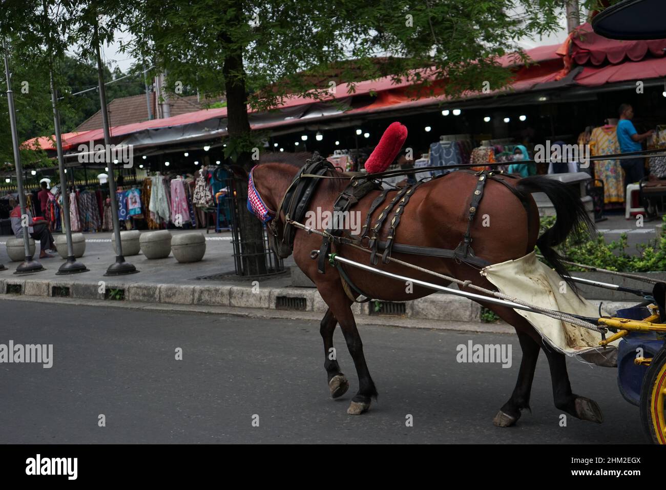 traditional vehicles in the past. Before the development of technology ...
