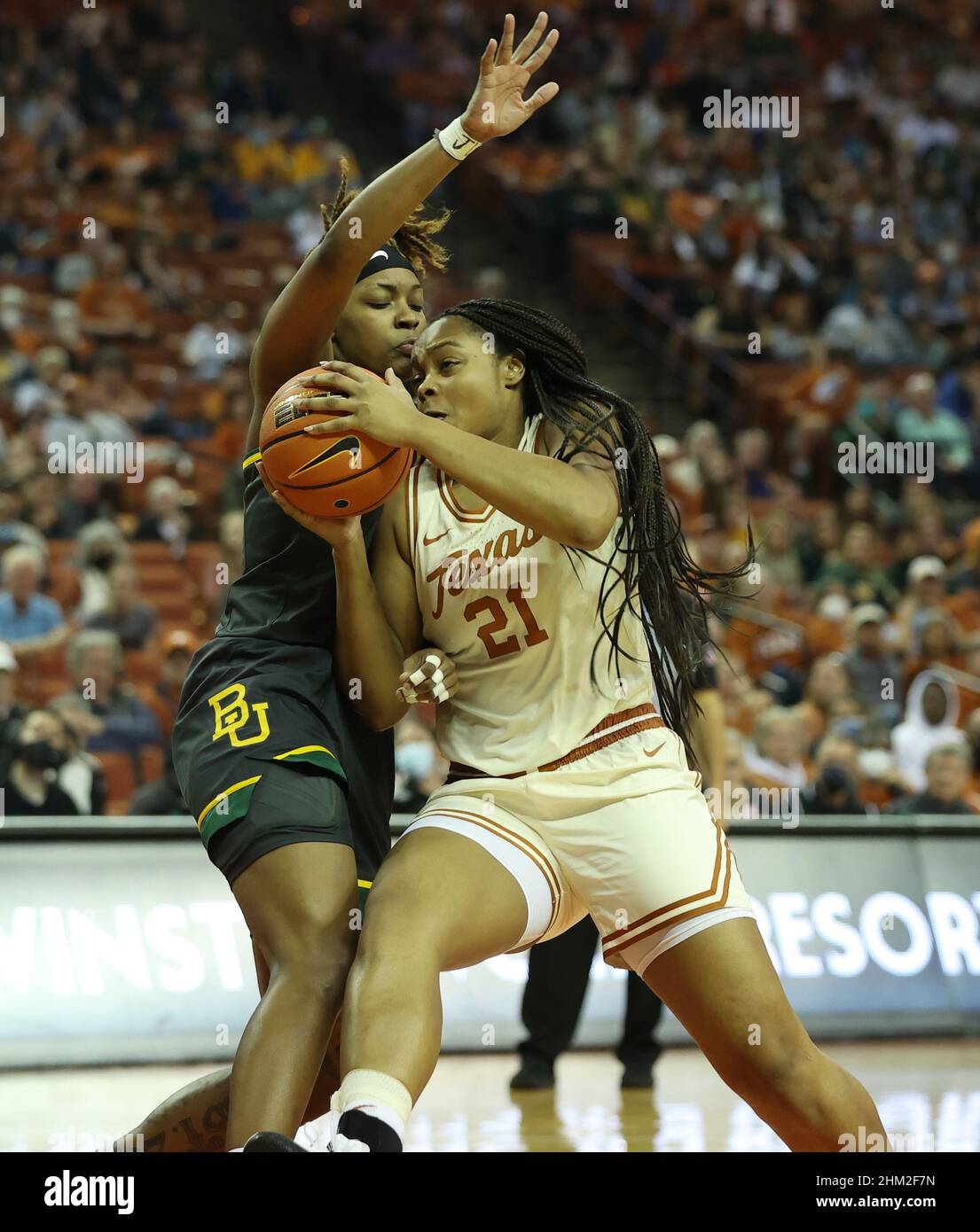 Lady bears hi-res stock photography and images - Alamy