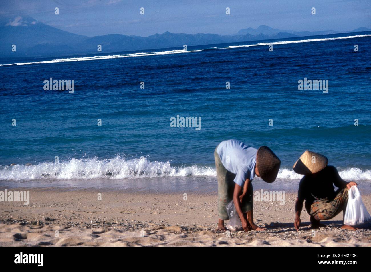 Sea shells beach bali hi-res stock photography and images - Alamy