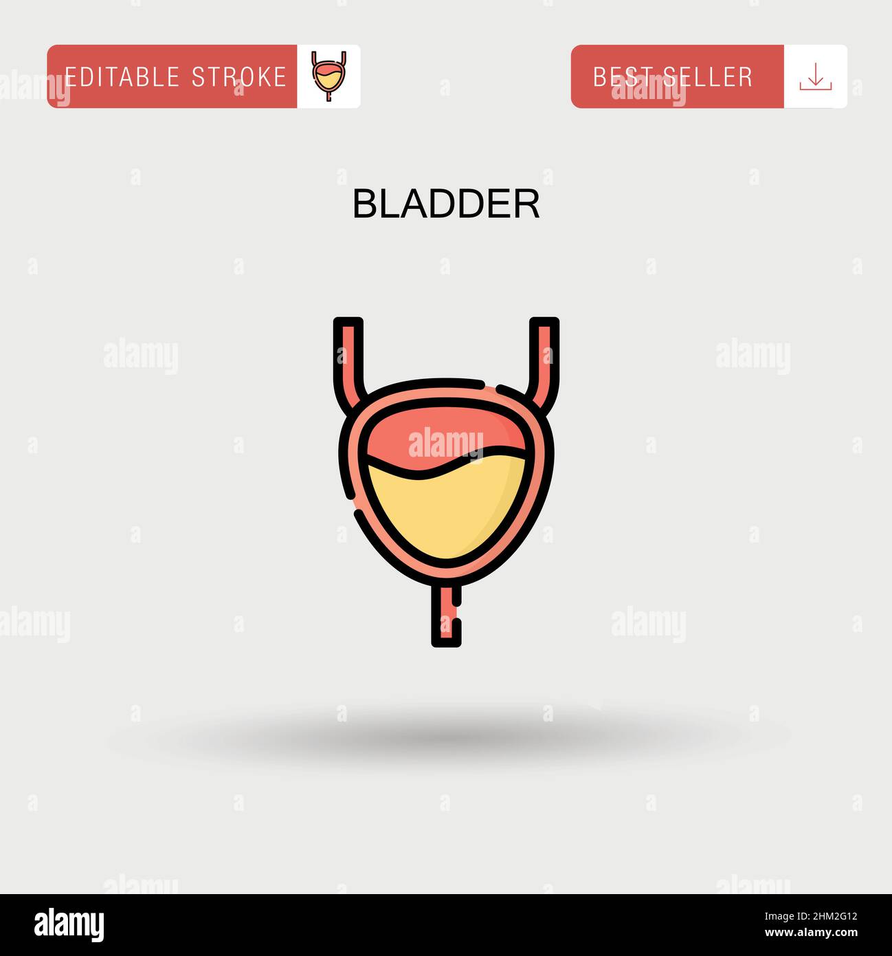 Bladder cancer hi-res stock photography and images - Alamy