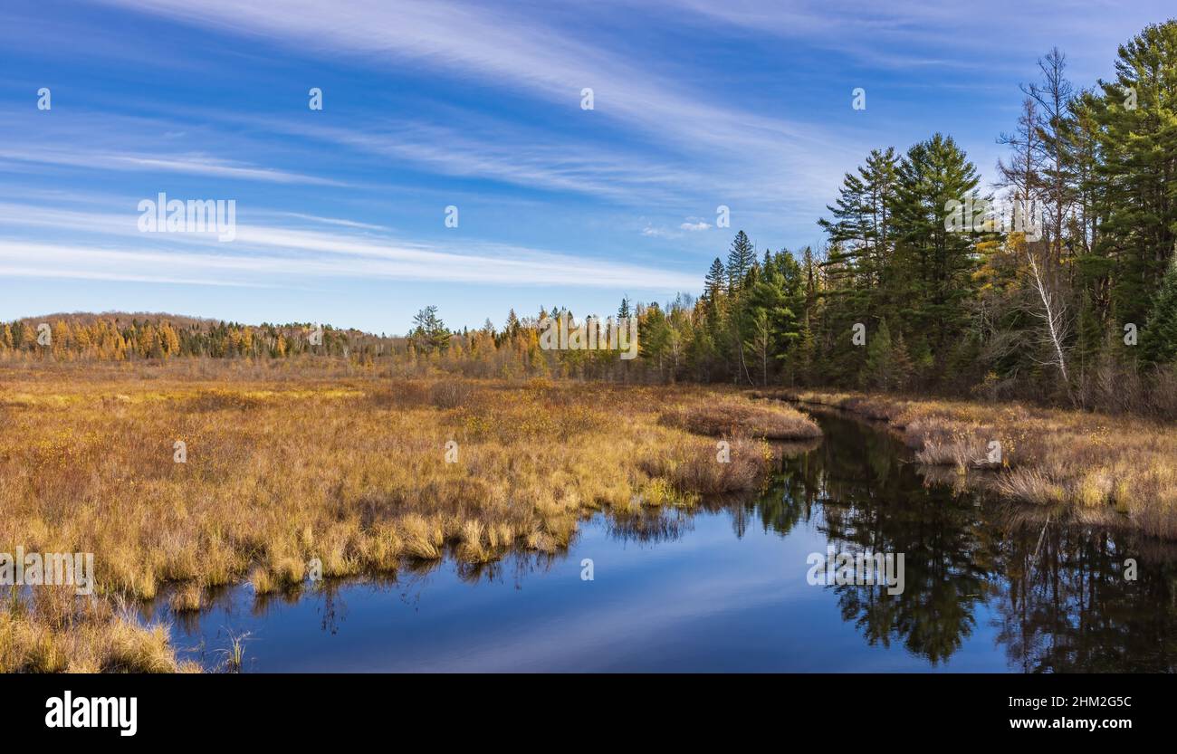 Fall in northern Wisconsin Stock Photo - Alamy