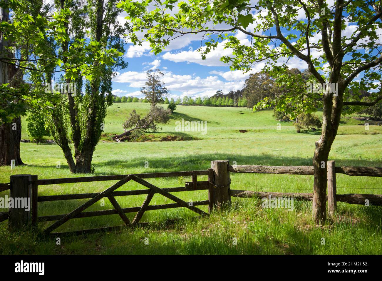 Early summer pasture land near Bowral Stock Photo - Alamy
