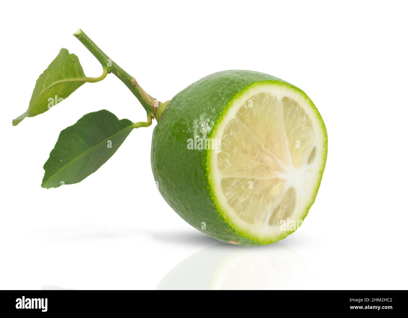 Lime slice isolated on white background Stock Photo - Alamy