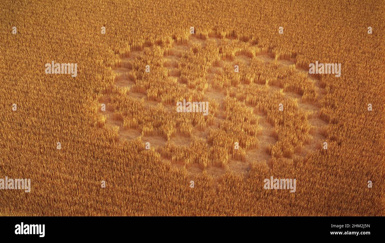 field with alien crop circle formation Stock Photo - Alamy