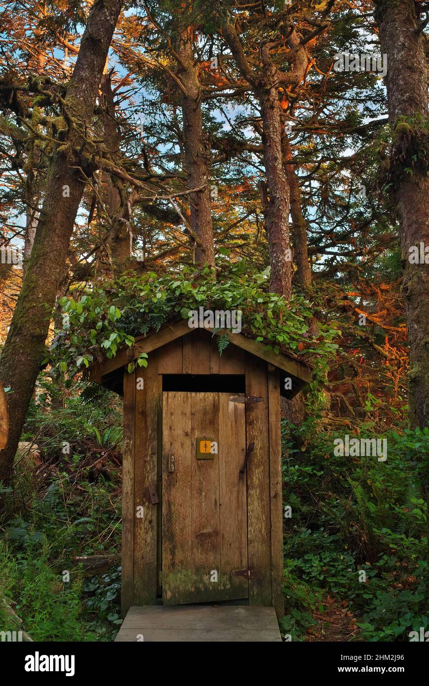 Wooden outhouse in a beautiful forest setting on Vancouver Island in ...
