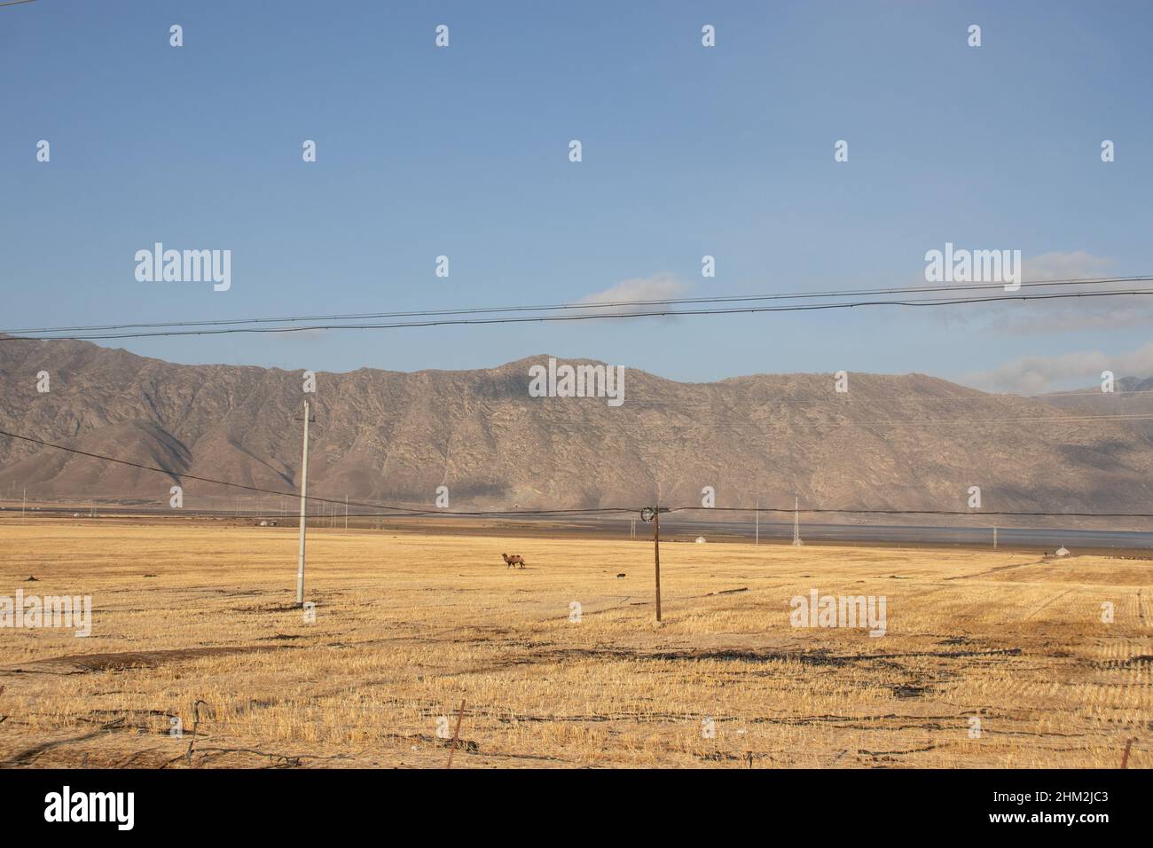 Steppe landscape house tree hi-res stock photography and images - Alamy