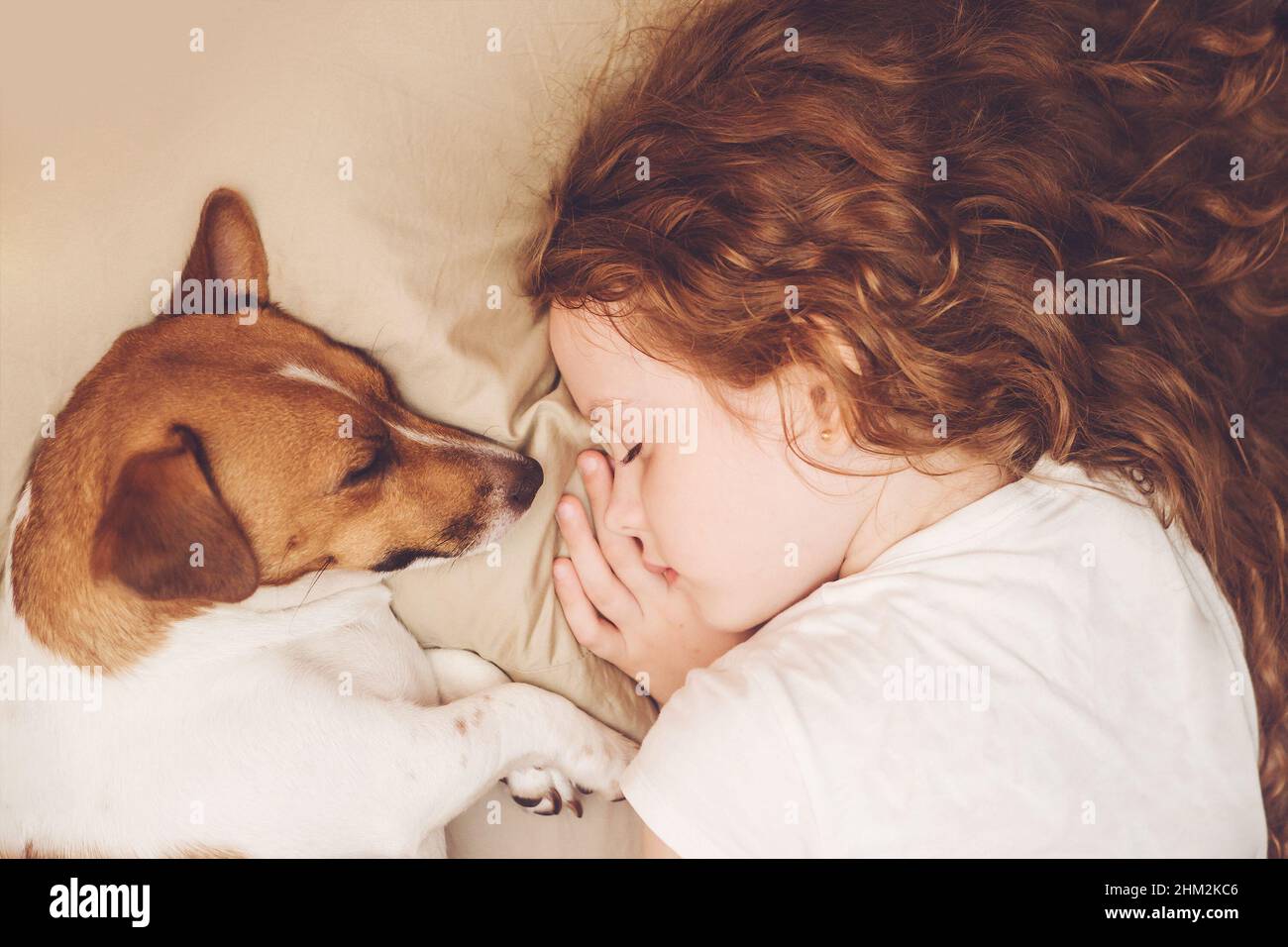Boy sleeping bed dog hi-res stock photography and images - Alamy