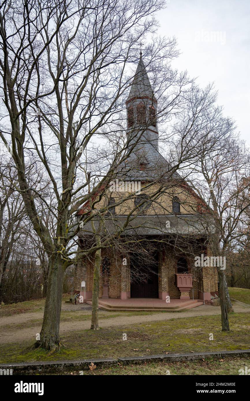 Bodenheim, Germany. 29th Jan, 2022. A conservationist has hung nesting ...