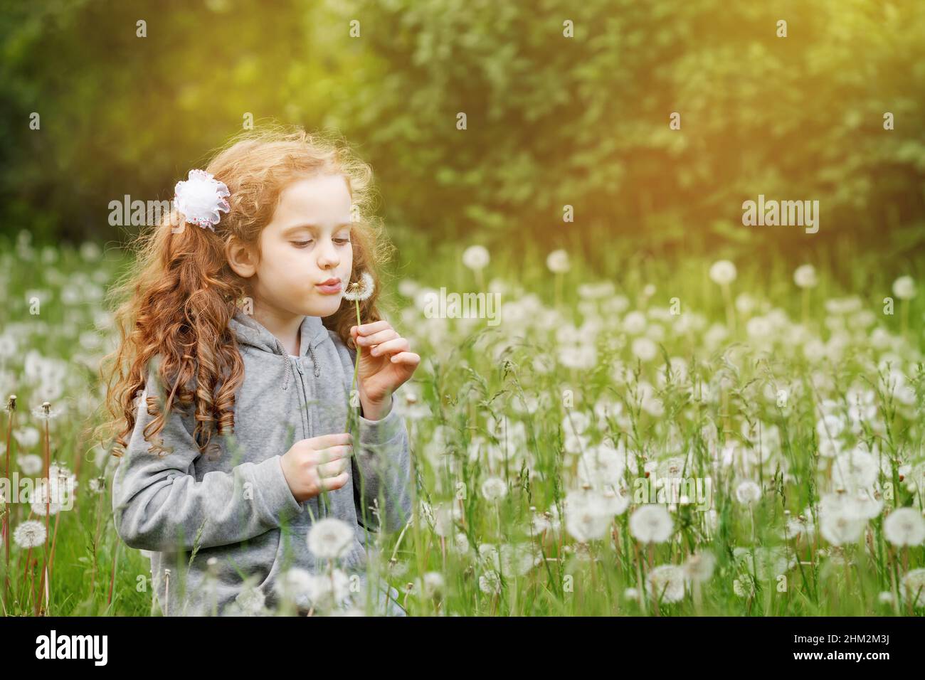 Cute curly girl blowing dandelion in spring park. Spring concept Stock ...