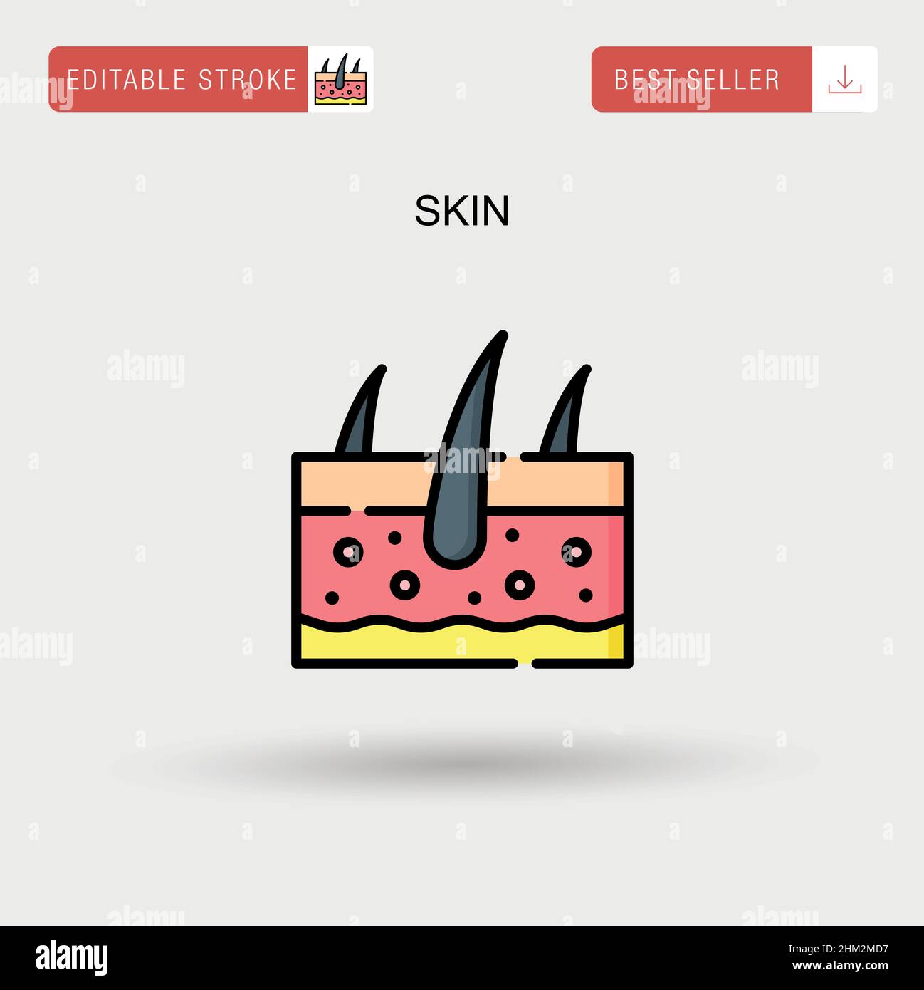 Skin Simple vector icon Stock Vector Image & Art - Alamy