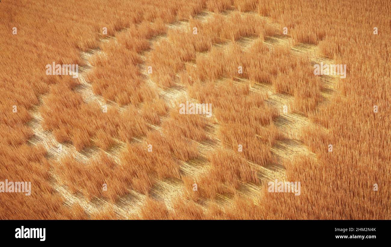 field with alien crop circle formation Stock Photo - Alamy