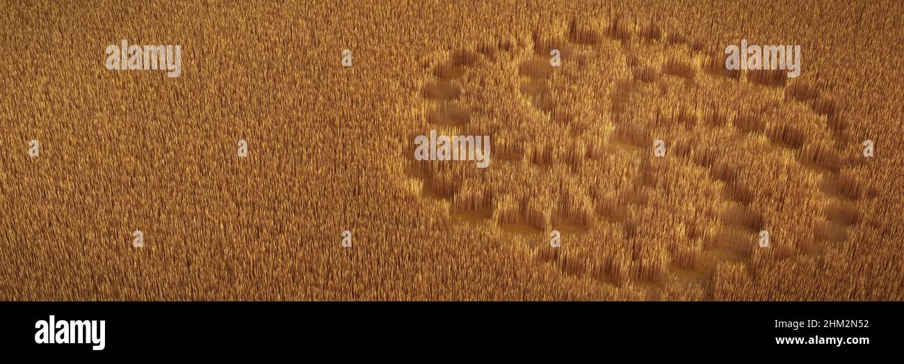 field with alien crop circle formation Stock Photo - Alamy