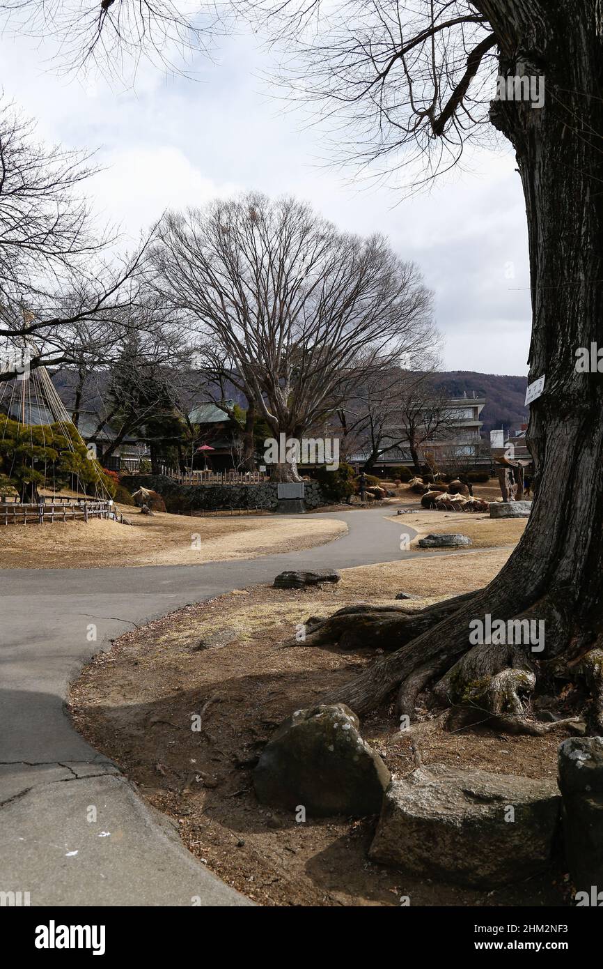 suwa, nagano, japan, 2022/06/02 , park surrounding the Takashima Castle ...