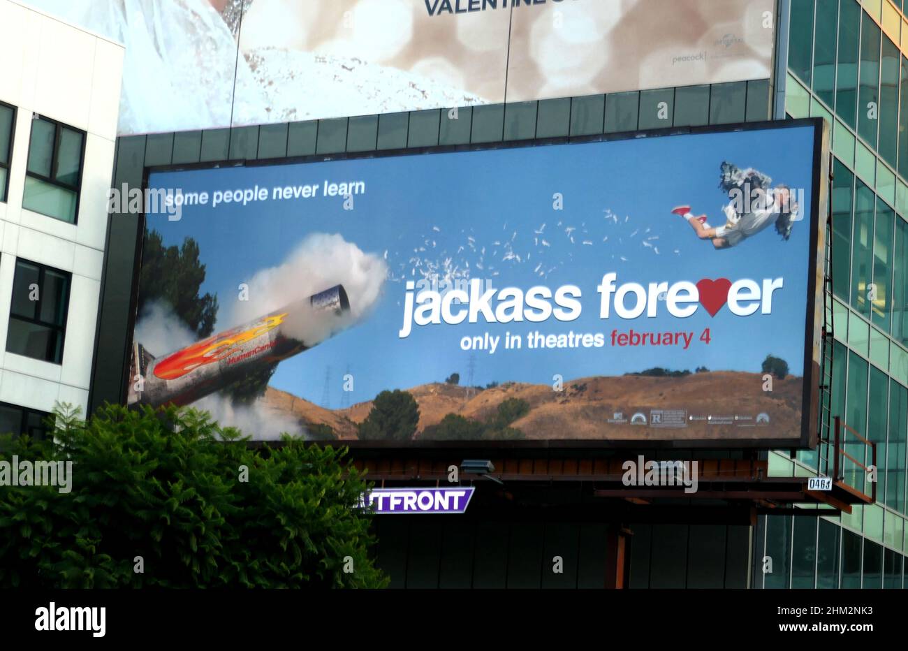 Los Angeles, California, USA 19th January 2022 Jackass Forever ...